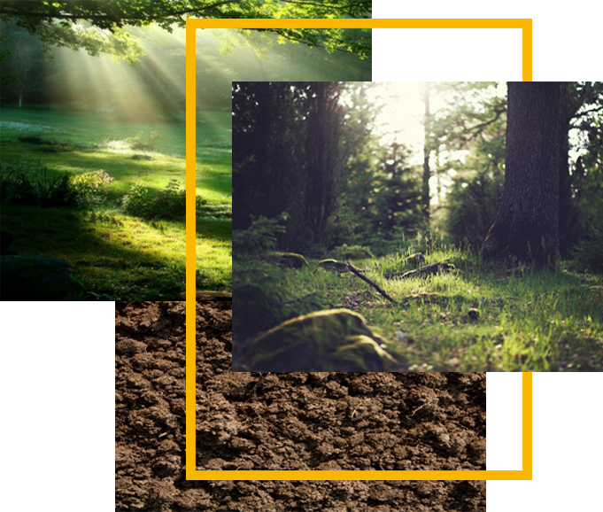 Earth Element - Tatva Vastu